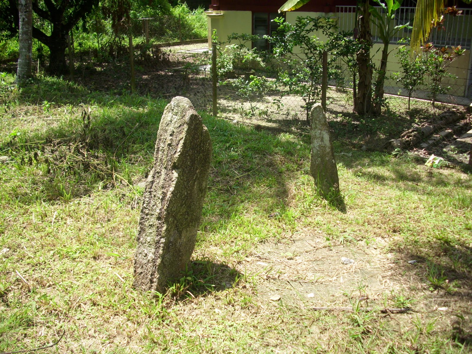 INTERESTING ACTIVITIES – Pilah Kontenastay